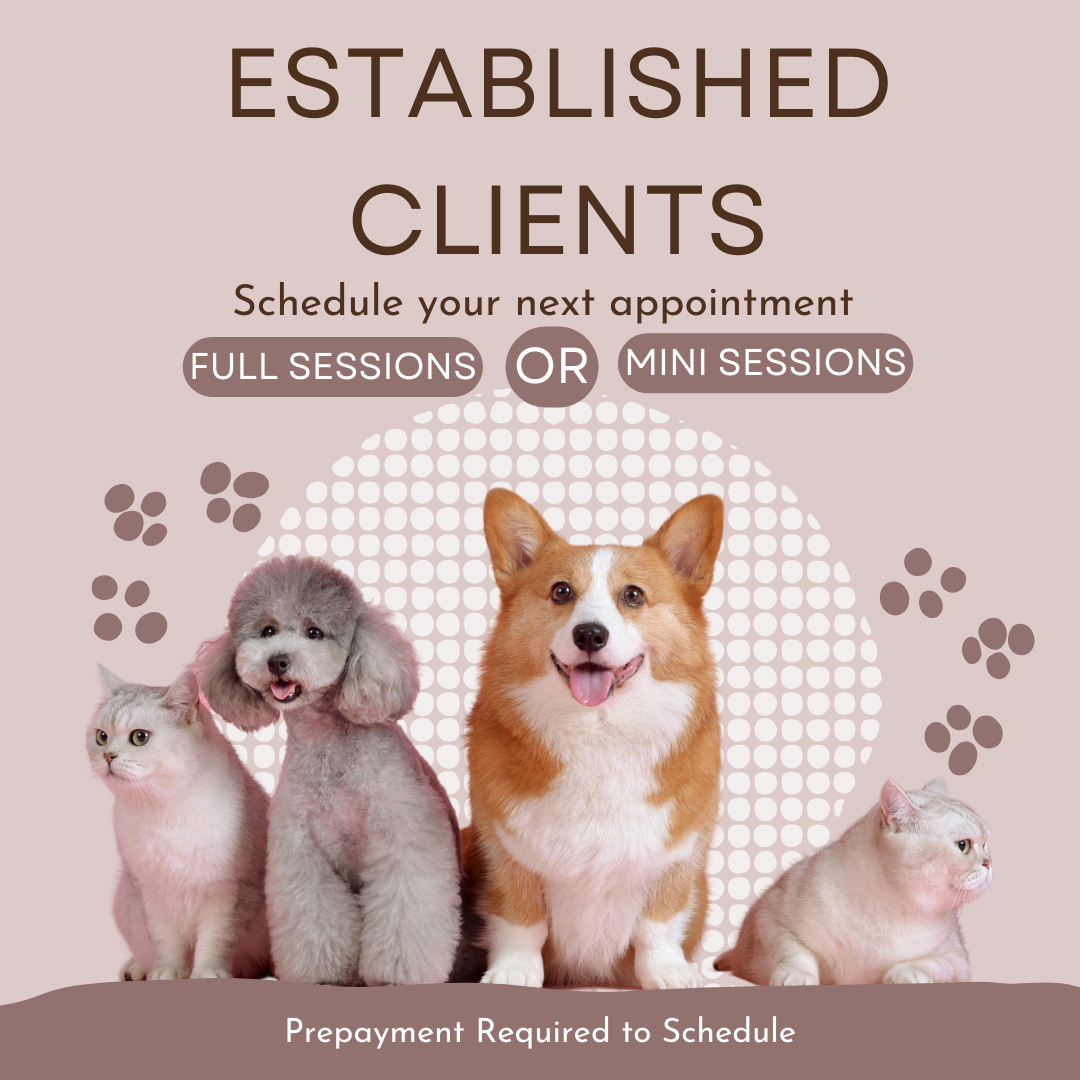 Schedule a Consult » Teaching Animals